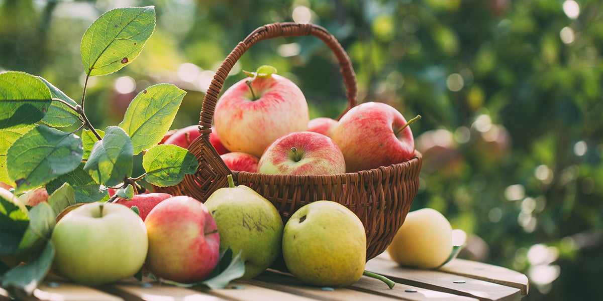 The Wonderful Benefits of Eating an Apple a Day