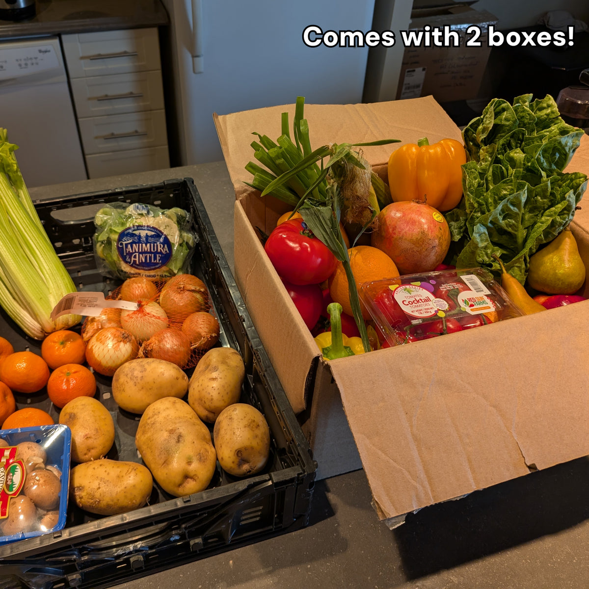 Large Produce Box (Feeds 4-5 People per Week)
