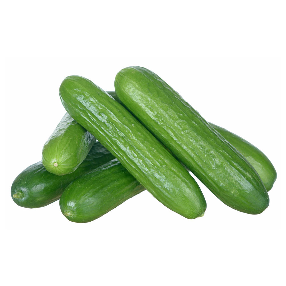 1.5lb bag - Ontario Leamington Mini Cucumber SPECIAL!