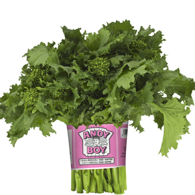 ANDYBOY Rapini box